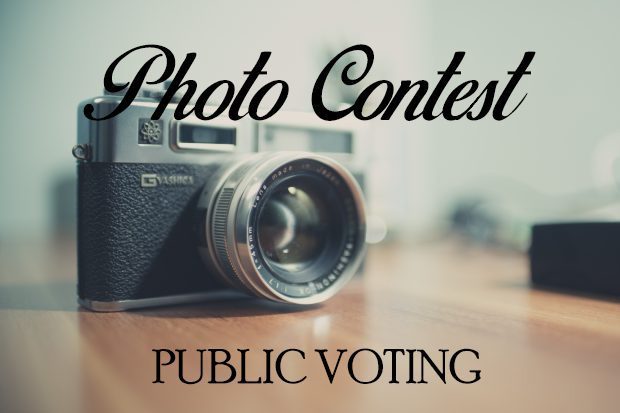 Photo Contest Public Voting - Advance Thief River